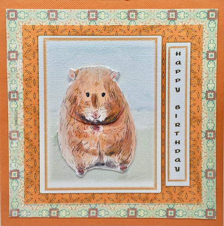 HAMSTER BIRTHDAY CARD: 7x7, With Hamster Decoupage,Extra Blank ...