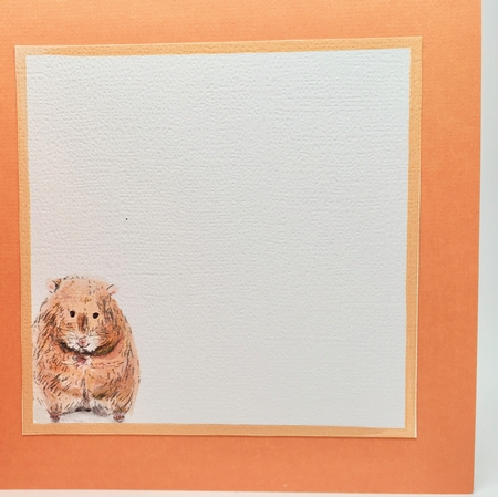 HAMSTER BIRTHDAY CARD: 7x7, With Hamster Decoupage,Extra Blank ...