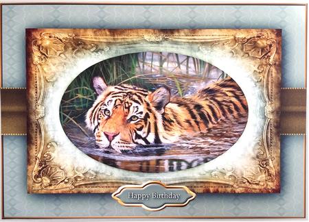 Swimming Tiger Quick Card - CUP569443_37 | Craftsuprint