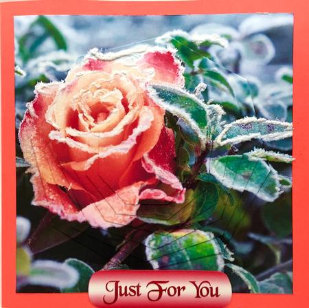 Winter Magic - Frosted Rose 2 Pyrimage with a Twist + Tag + - CUP651301 ...