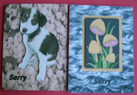 Two Sorry Card Fronts. - CUP172201_695 | Craftsuprint