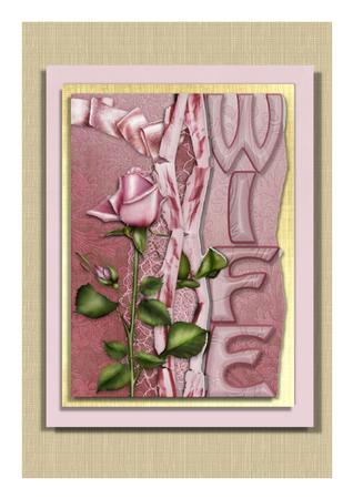 Rose for a Rose - Photo by Frances Dent