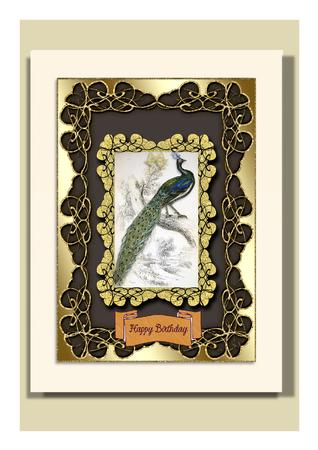 Old Vintage Frame 1 - Photo by Frances Dent