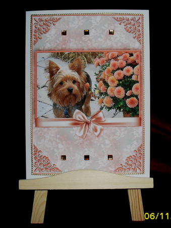 Double Trouble - CUP266345_1443 | Craftsuprint