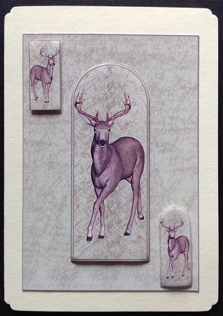 The Hunter Blank Insert - CUP616186_1566 | Craftsuprint