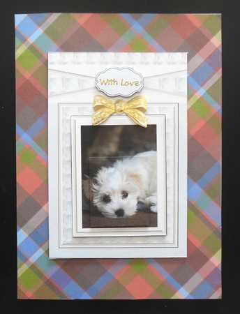 SS09 - A4 Patterned Paper #3 - CUP955316_95318 | Craftsuprint