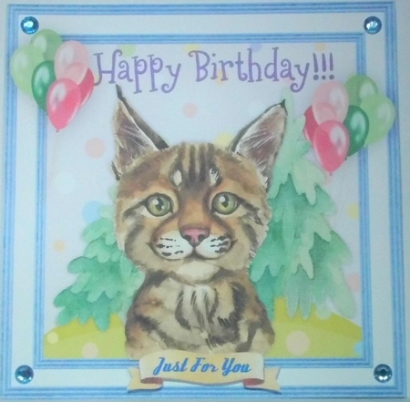 Happy Birthday, lynx - CUP1034522_1398 | Craftsuprint