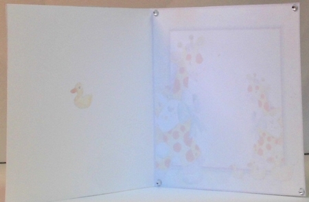 KIDDIES COMPLETE CARD INSERT - CUP809870_25427 | Craftsuprint