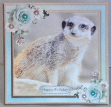 Cute meerkat card mini kit & decoupage - CUP980387_1894 | Craftsuprint