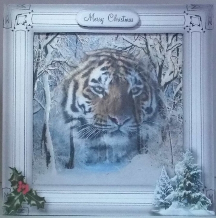 tiger in a frame - CUP998703_48749 | Craftsuprint