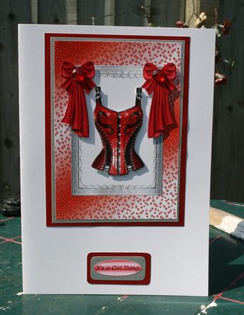 Gorgeous Red Basque & Bows - CUP85666_415 | Craftsuprint