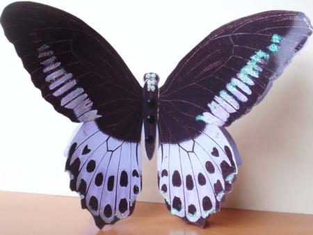 Butterfly Stand Up Card 18 - CUP304730_66 | Craftsuprint