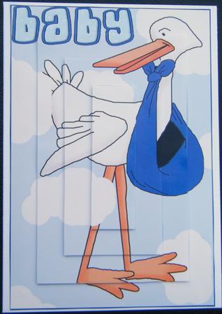 Baby Boy Stalk - CUP70583_698 | Craftsuprint