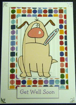 Get Well Soon Dog 2 - Photo by Charlies Angel