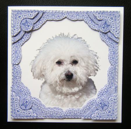 Bichon Frise Puppy Dog 3D Square Frame S by S Corner Stacker - Photo by ...