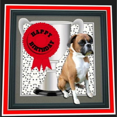 Boxer Dog Trophy & Rosette 8x8 Card - CUP604777_15 | Craftsuprint