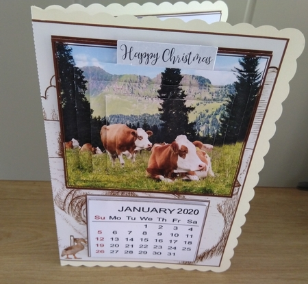 Farm Animals - Cows - 2020 Calendar Card Mini Kit - Photo by Honorscard ...