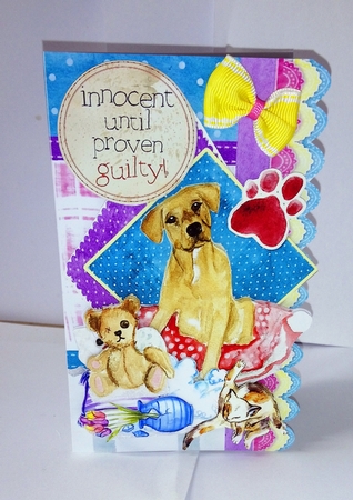 Pets at Home Quick Cards - CUP890476_905 | Craftsuprint
