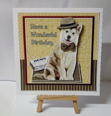 Male Card Birthday Dog - Photo by Jackie Odonnell