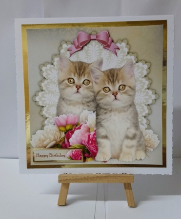 Cute Kittens Birthday Card Topper 2 - Photo by Jackie Odonnell