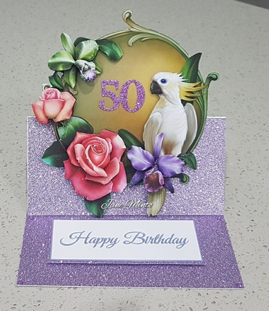 BEAUTIFUL BIRD - Photo by Jane Minto