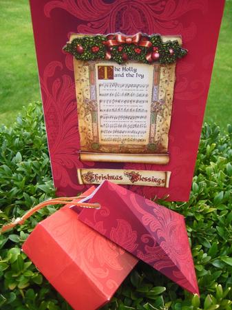 Red Christmas Roses 1 A4 Backing Paper - CUP217694_10 | Craftsuprint