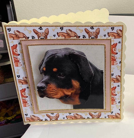 Cats And Dogs - Ten A4 Backing Papers - Set One - CUP1008732_604 ...