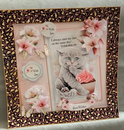 Animal Print Pattern Frames x 12 Kit - CUP1036495_719 | Craftsuprint