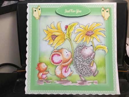 Daisy Trail - CUP890770_1398 | Craftsuprint