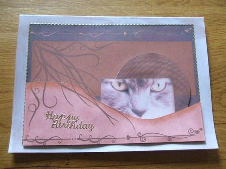 Lechat 10, Peek! 5x7 Layered Card - CUP311233_126 | Craftsuprint