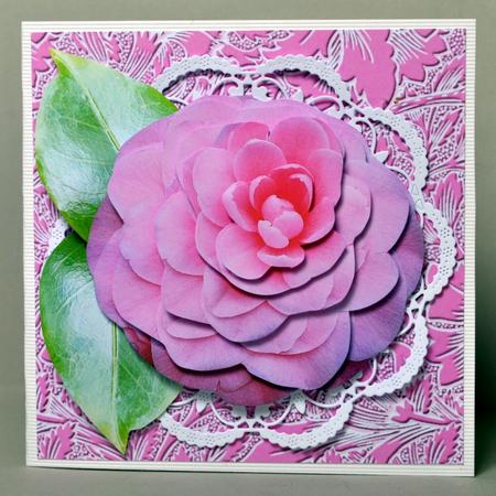 4 Different Cut Out Layered Flowers Transparent Background - CUP306185 ...