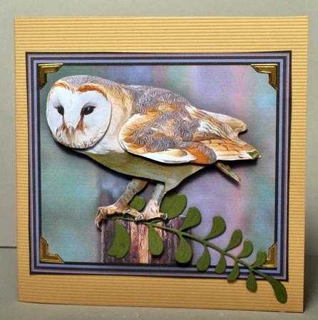 Barn Owl 3D Decoupage - CUP329350_15 | Craftsuprint