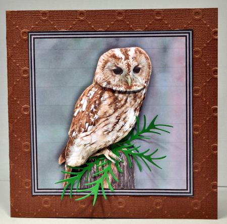 Tawny Owl 3D Decoupage - CUP538592_15 | Craftsuprint