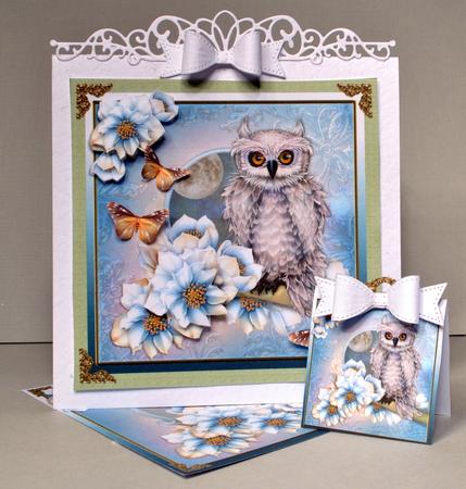 Who's the Owl Card Front Kit - CUP659304_1784 | Craftsuprint