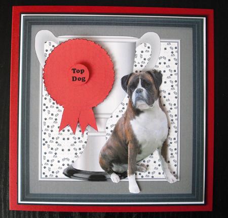 Boxer Dog Trophy and Rosette 8x8 Card - CUP522443_15 | Craftsuprint