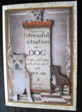 Handle Every Stressful Situation Like a Dog - bull Terrier - CUP646386 ...