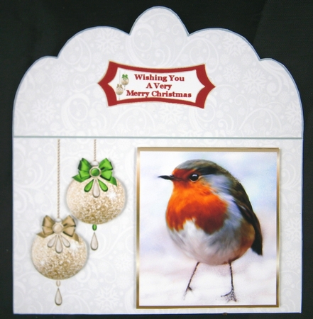 Red, Red Robin - Money Wallet - CUP1070795_846 | Craftsuprint