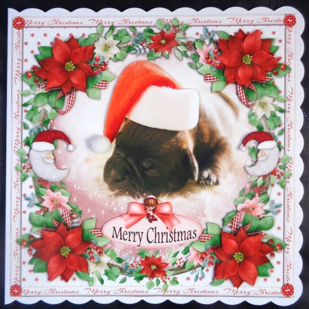 Bumper Kit Furry Friends Christmas Card Fronts - Photo by Linda Short