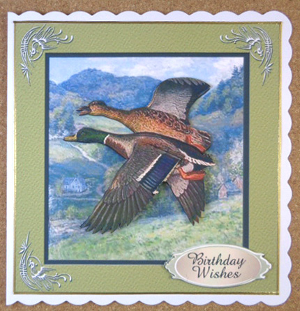 2 Wild Ducks - Card Front - CUP645614_2120 | Craftsuprint