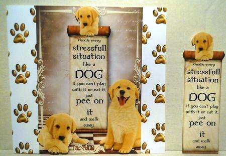 Handle Every Stressfull Situation Like a Dog - - CUP523027_1763 ...