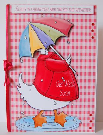 Under the Weather Get Well Duck - Photo by Lyn Hughes