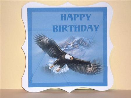 Soaring Eagle Birthday Camera Eye Stacker - Photo by Lynn Butters