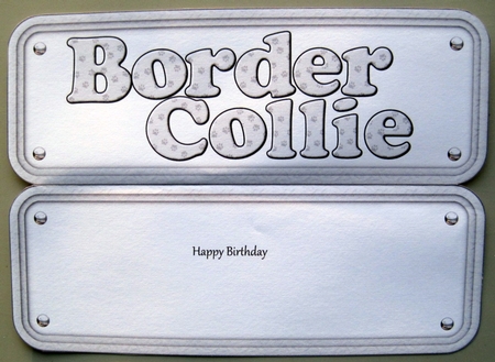 Border Collie Name Sign Insert - CUP521736_15 | Craftsuprint