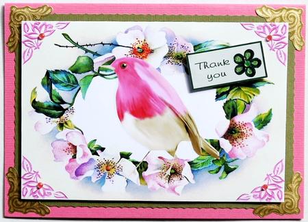 Pretty Robin in Flower Frame A4 - Photo by Margaret Dittmann