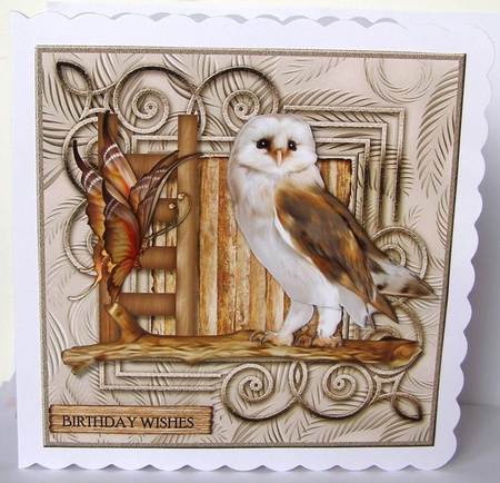 Male Card Wise Owl Mini Kit - CUP1028354_936 | Craftsuprint