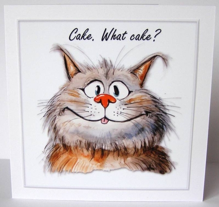 Funny Cats Card Toppers - Photo by Margaret McCartney