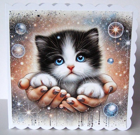 Handful Of Kittens - Photo by Margaret McCartney