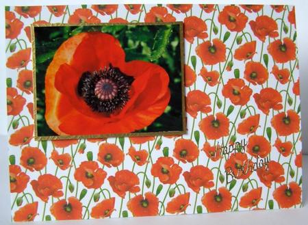 Beautiful Poppy Background Faded - CUP212389_470 | Craftsuprint