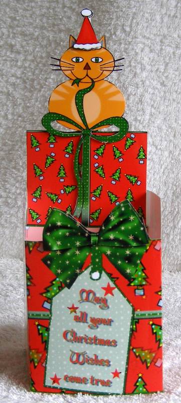 Christmas Cat Box Card - CUP258877_38 | Craftsuprint