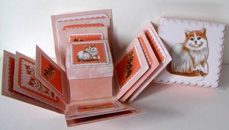 Exploding Box - Cat and Mouse - CUP409535_66 | Craftsuprint